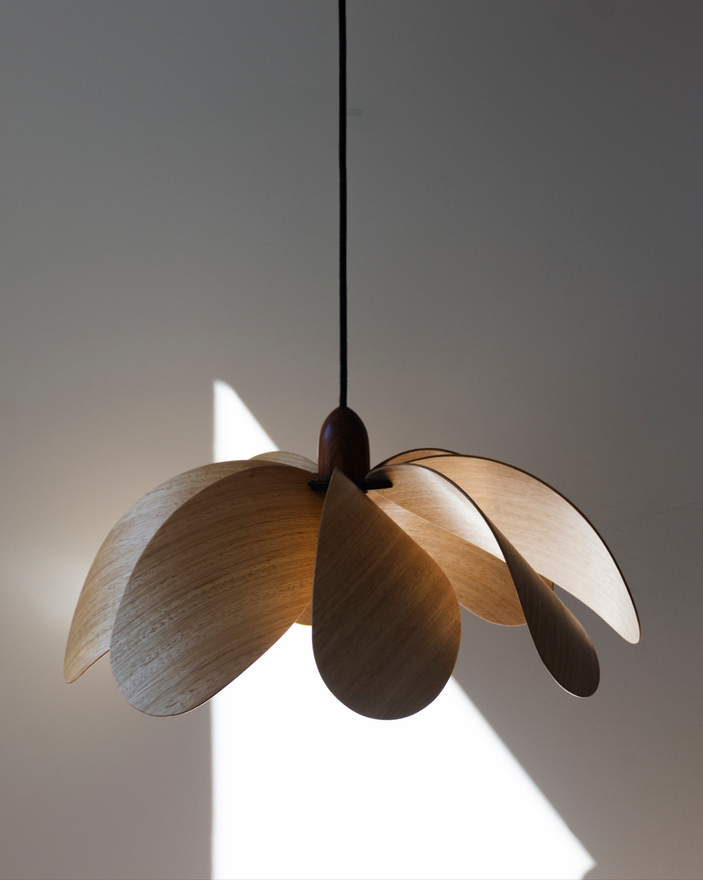 Australian Timber Propeller Pendant – Lighting Collective
