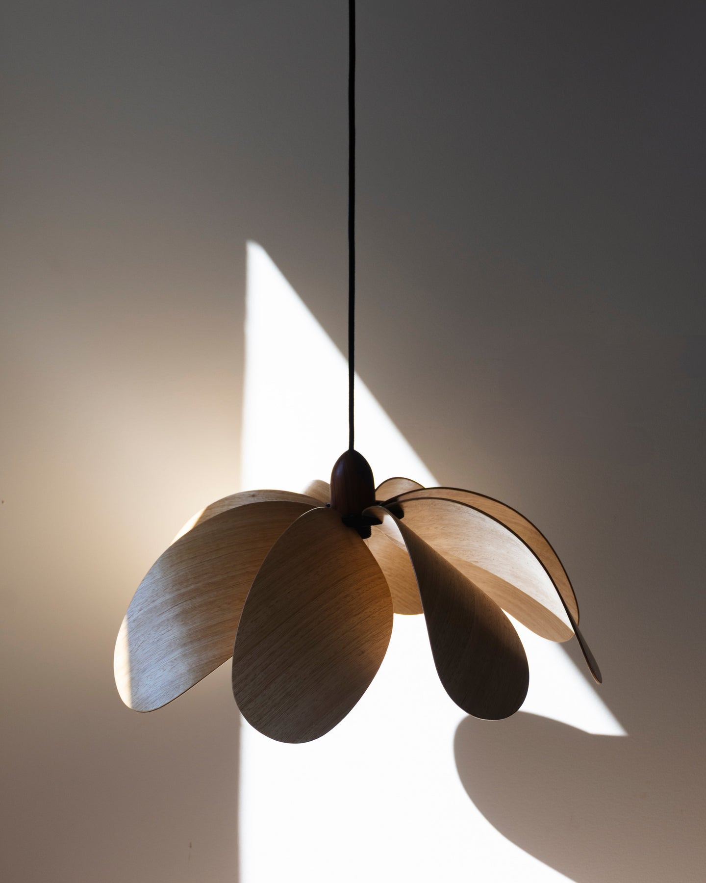 Australian Timber Propeller Pendant – Lighting Collective