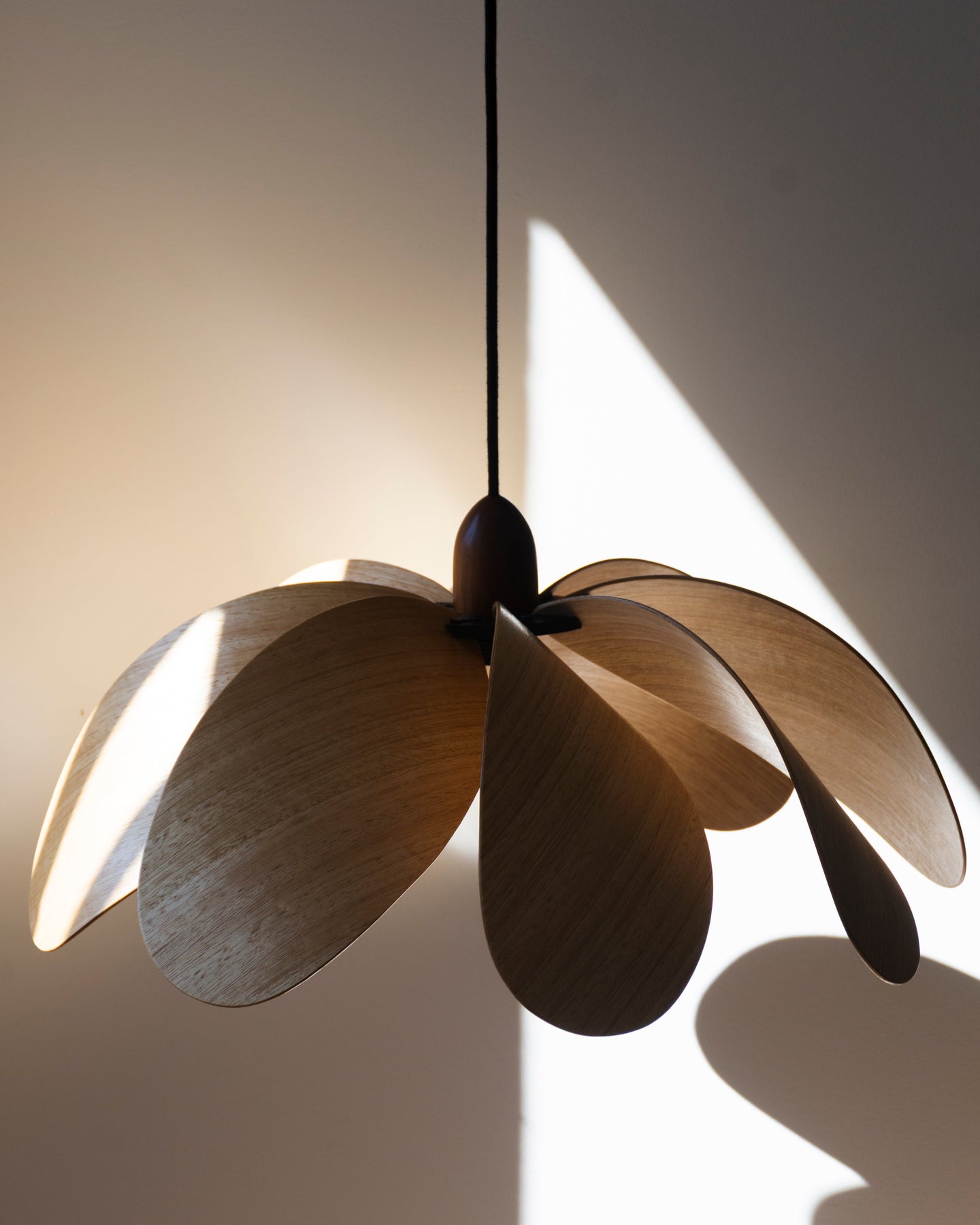 Australian Timber Propeller Pendant – Lighting Collective