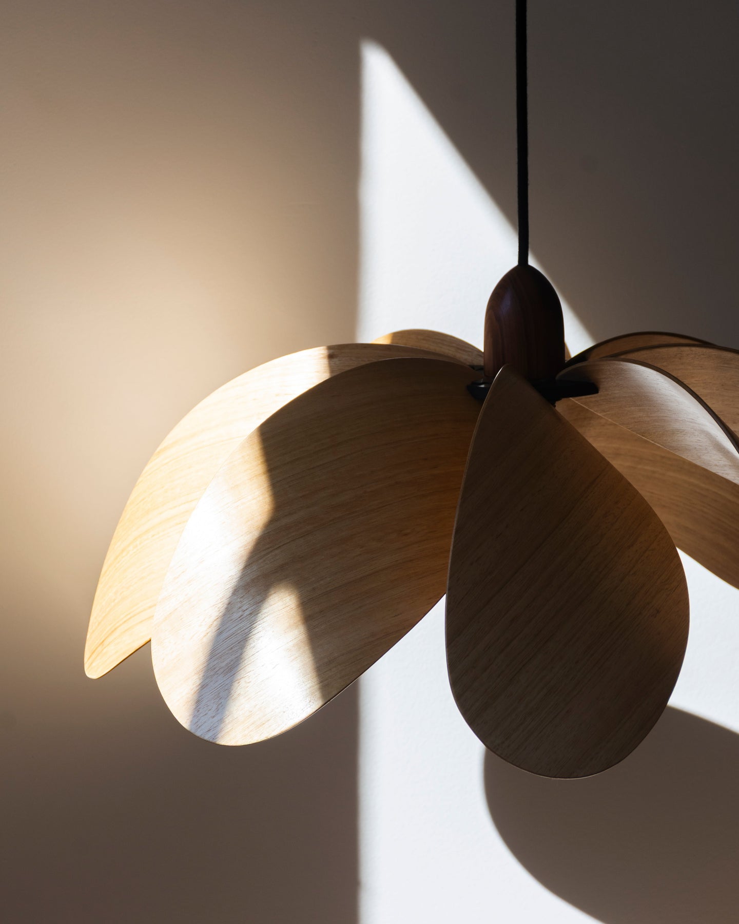 Australian Timber Propeller Pendant – Lighting Collective