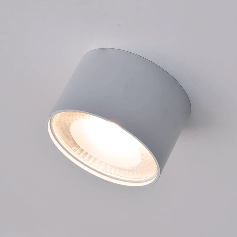Surface Mounted White LED Downlight | Assorted Size | TRIColour ...