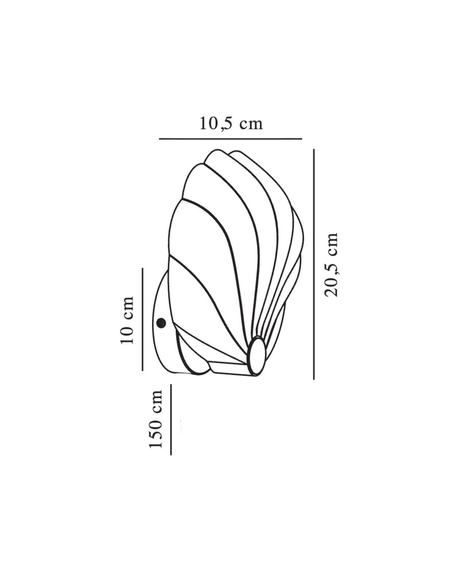 White Shell Wall Light – Lighting Collective