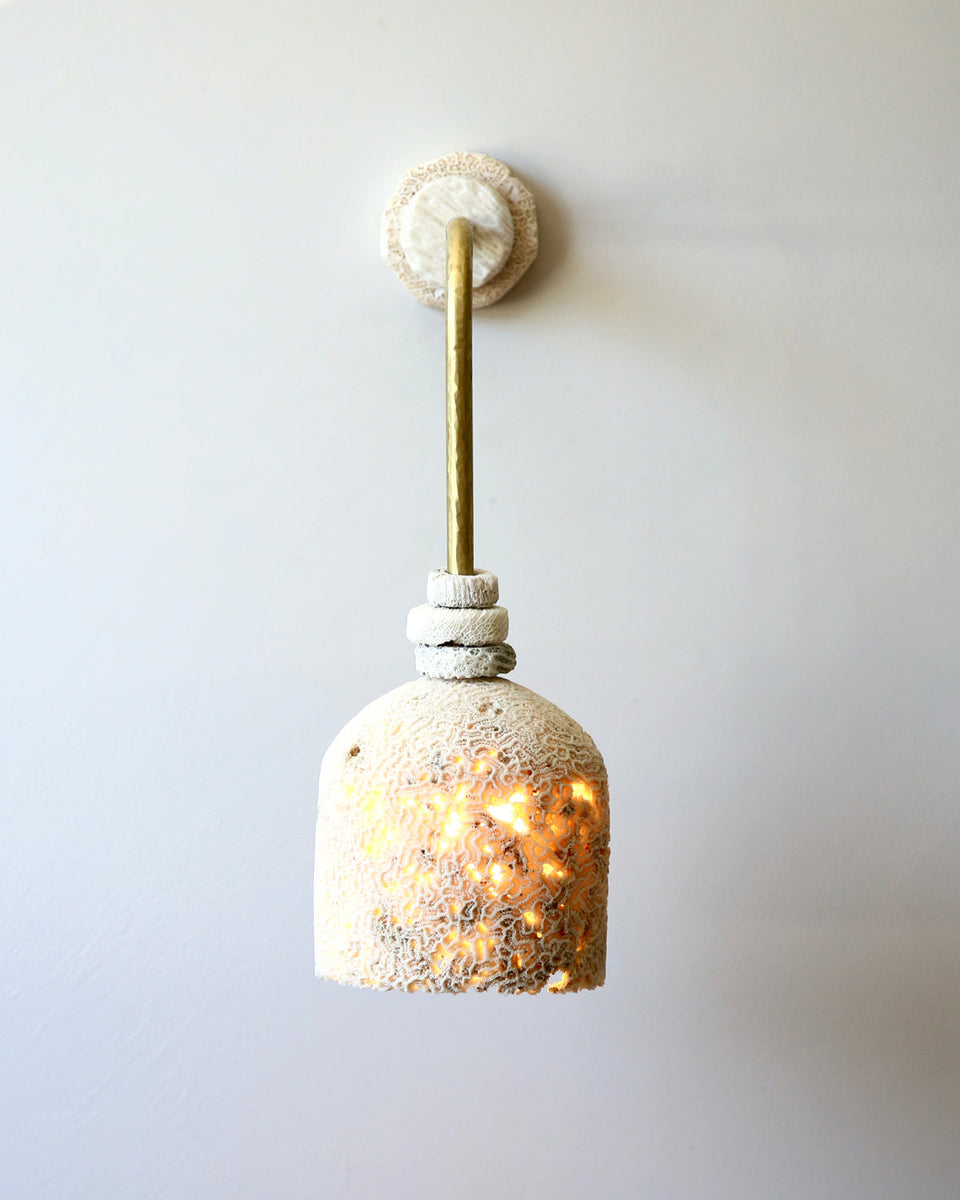 Fossil Coral Arc Dome Wall Light – Lighting Collective