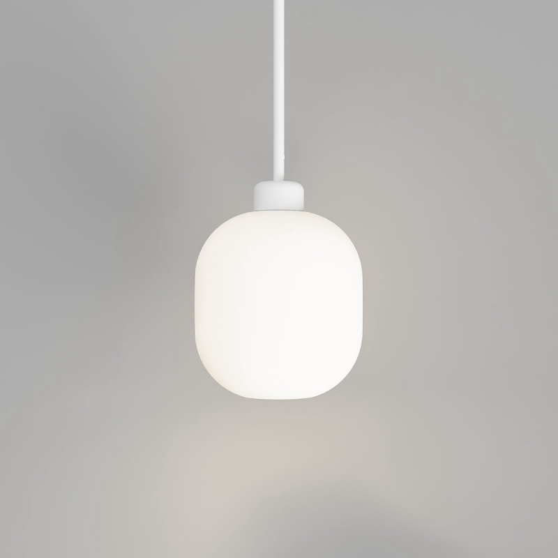 Elegant Curved Glass Pendant Light – Lighting Collective
